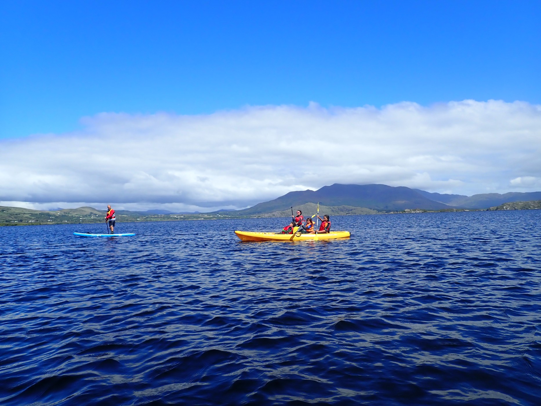 Sea Synergy Marine Awareness Centre | Education & Activities