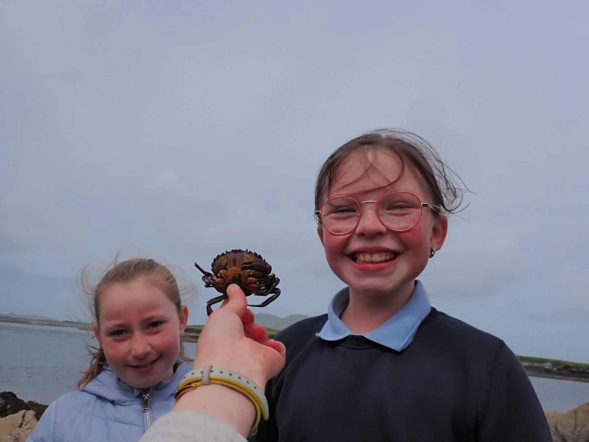 Sea Synergy Marine Awareness Centre | Education & Activities