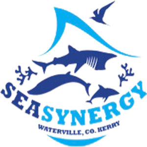 About Us | Sea Synergy Marine Awareness Centre