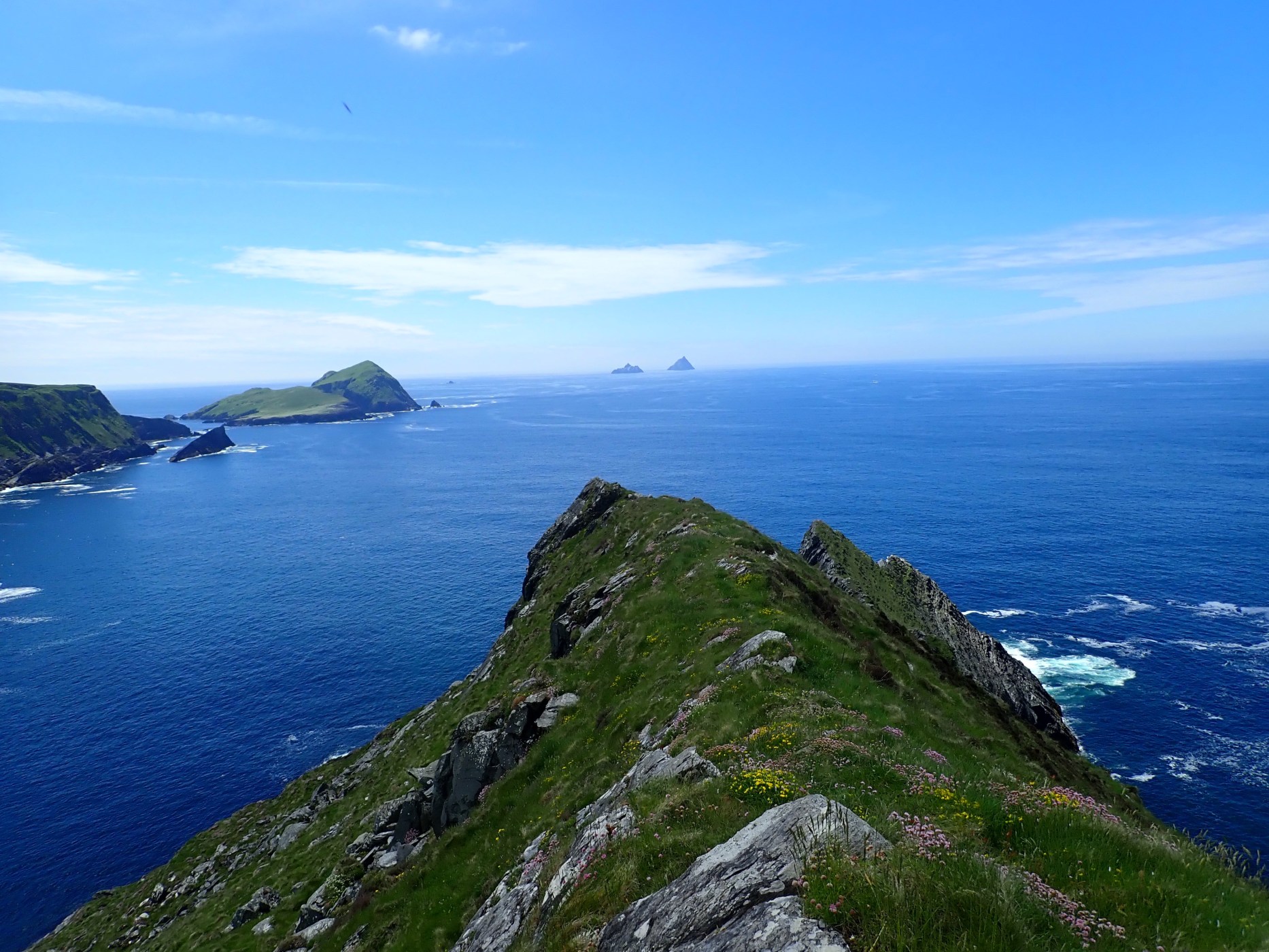 About Us | Sea Synergy Marine Awareness Centre