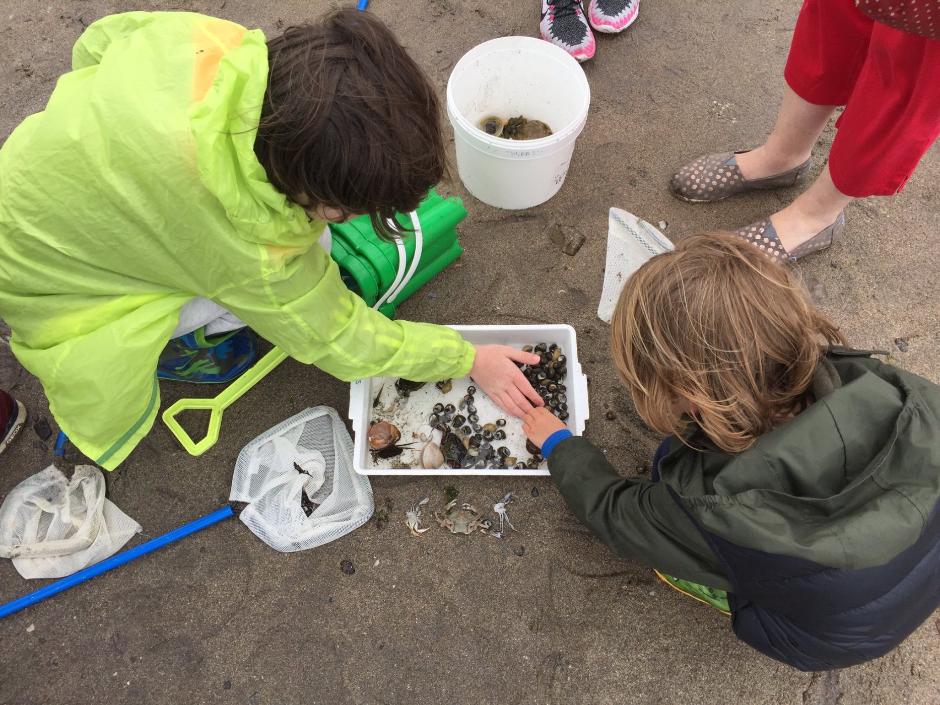 Marine Institute’s Explorers Education Programme | Sea Synergy