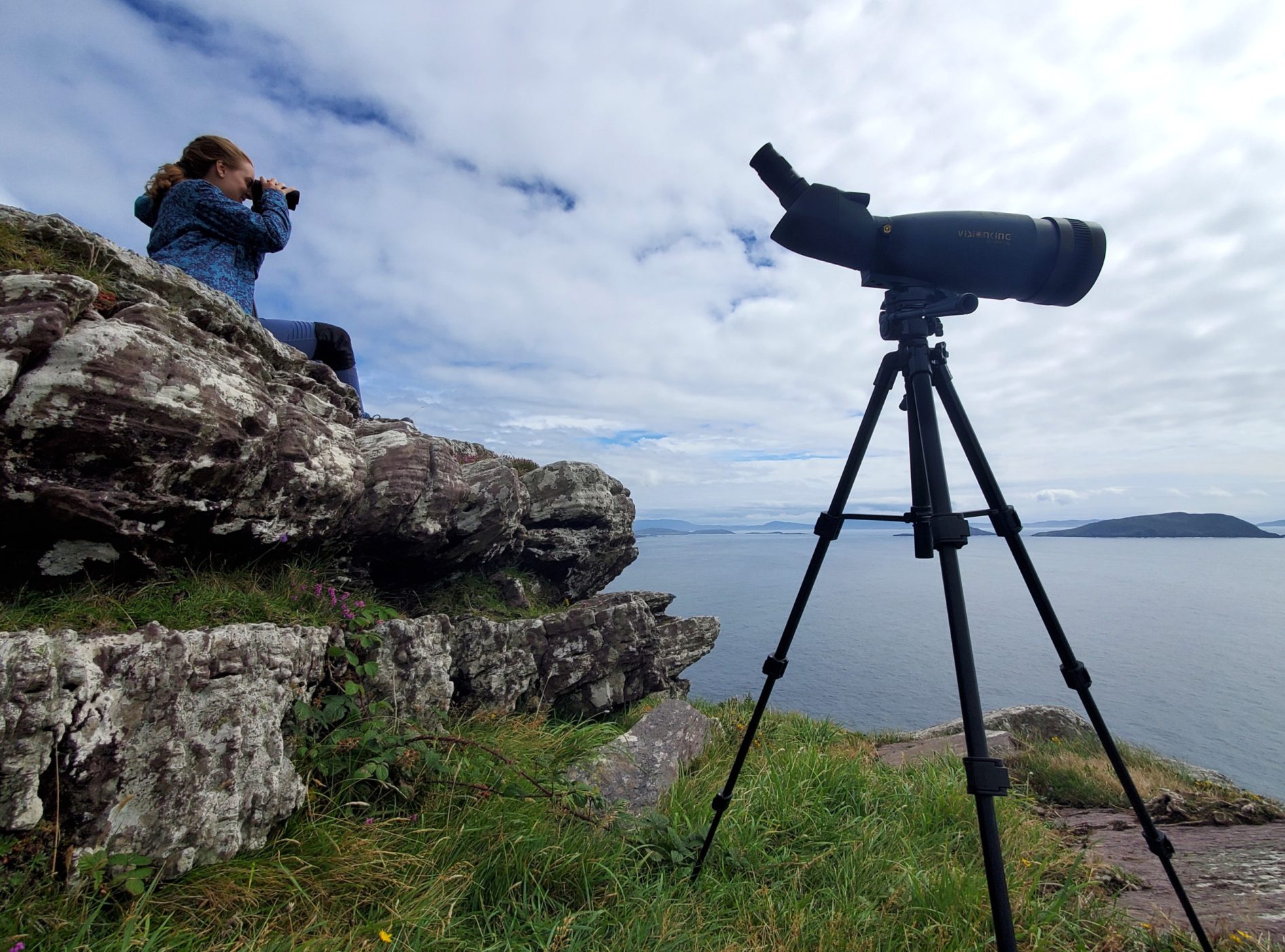 Observing Irish Marine Life | Sea Synergy