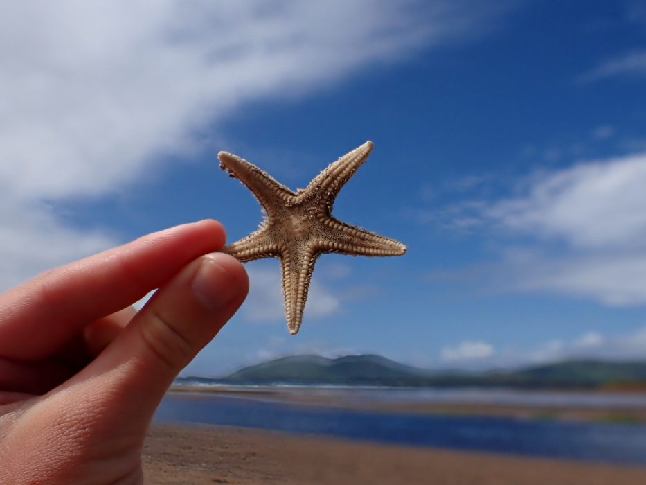 All Education Programmes | Sea Synergy Marine Awareness Centre