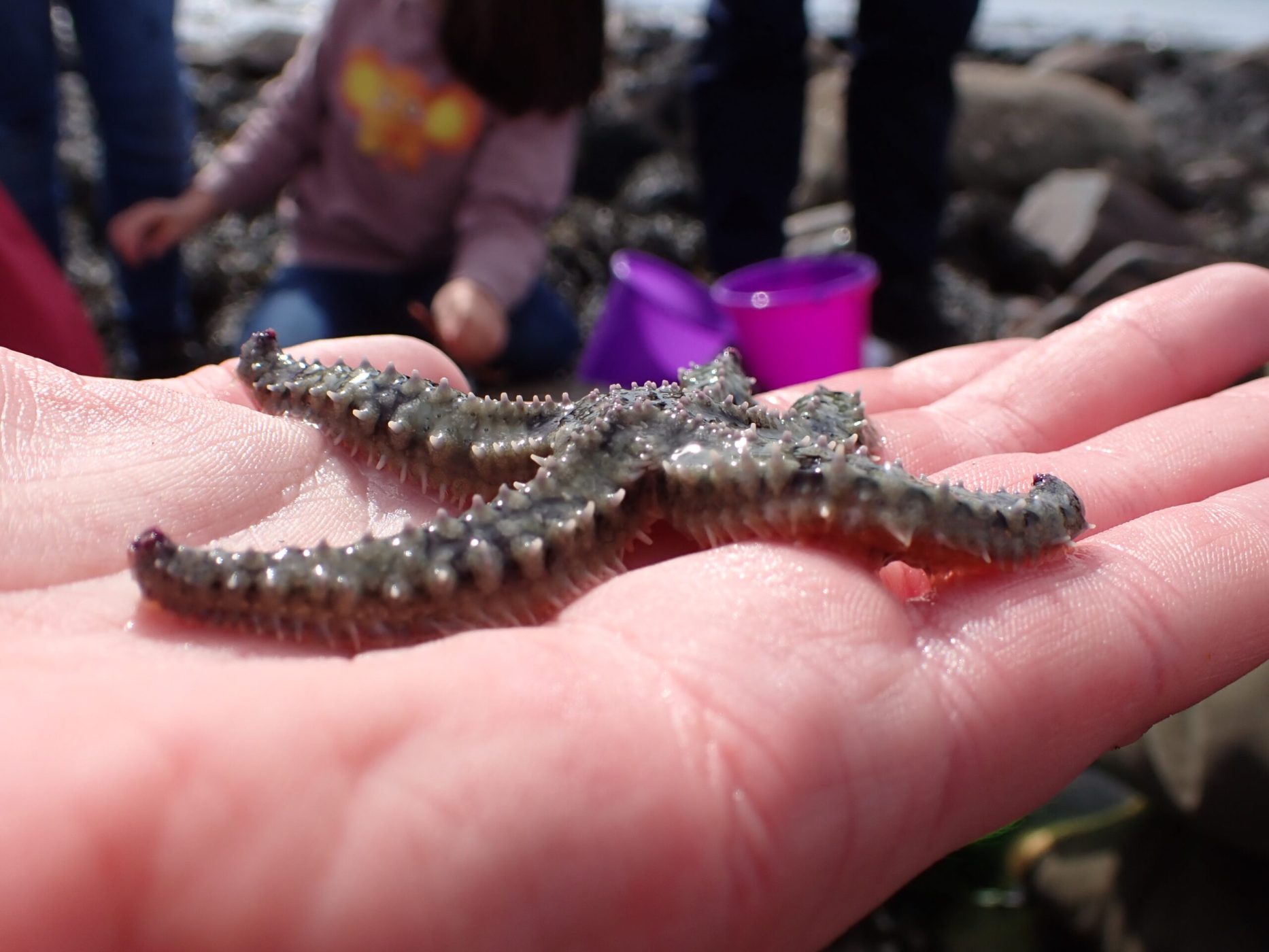 Talks and workshops | Sea Synergy Marine Awareness Centre