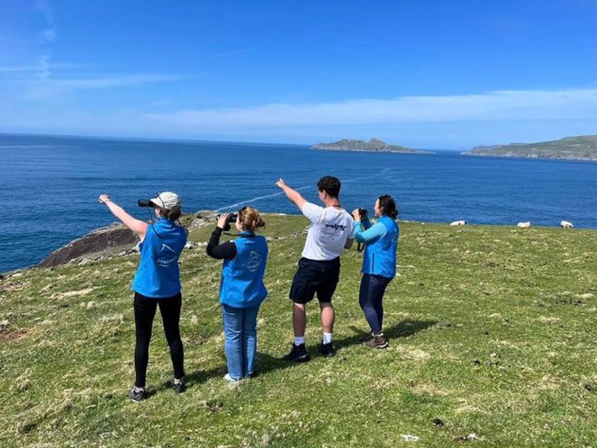 Sea Synergy Marine Awareness Centre | Education & Activities