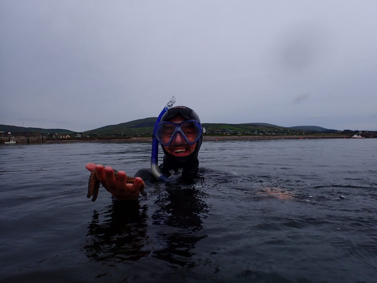 Sea Synergy Marine Awareness Centre | Education & Activities