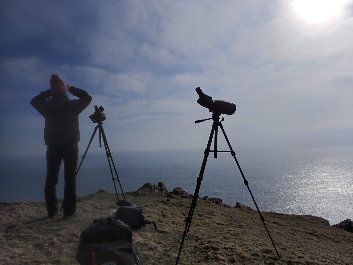 Citizen Science | Sea Synergy Marine Awareness Centre