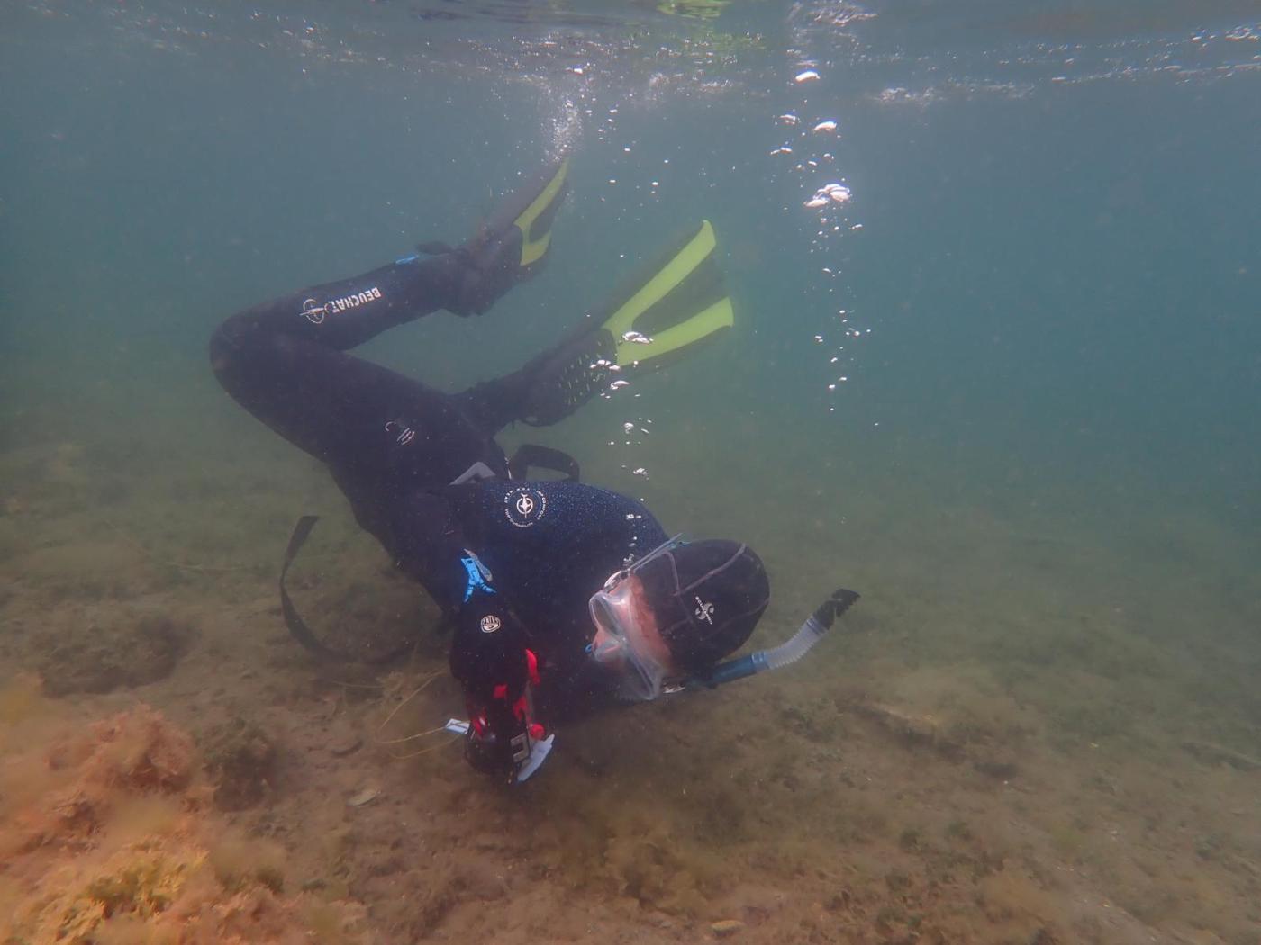 My Internship With Sea Synergy | Sea Synergy